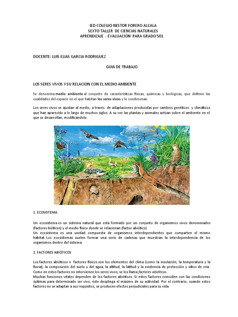 Sexto Taller Ciencia Seres Vivos y Medio Ambiente | PDF | Ecosistema ...