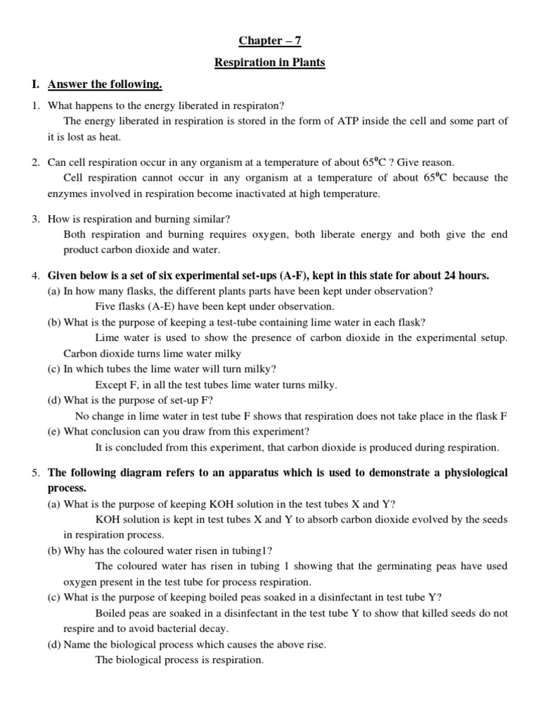 Chapter - 7 Respiration in Plants | PDF | Cellular Respiration | Glycolysis