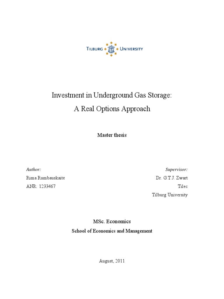Unit Cost Per Ugs Type | PDF | Natural Gas Storage | Option (Finance)