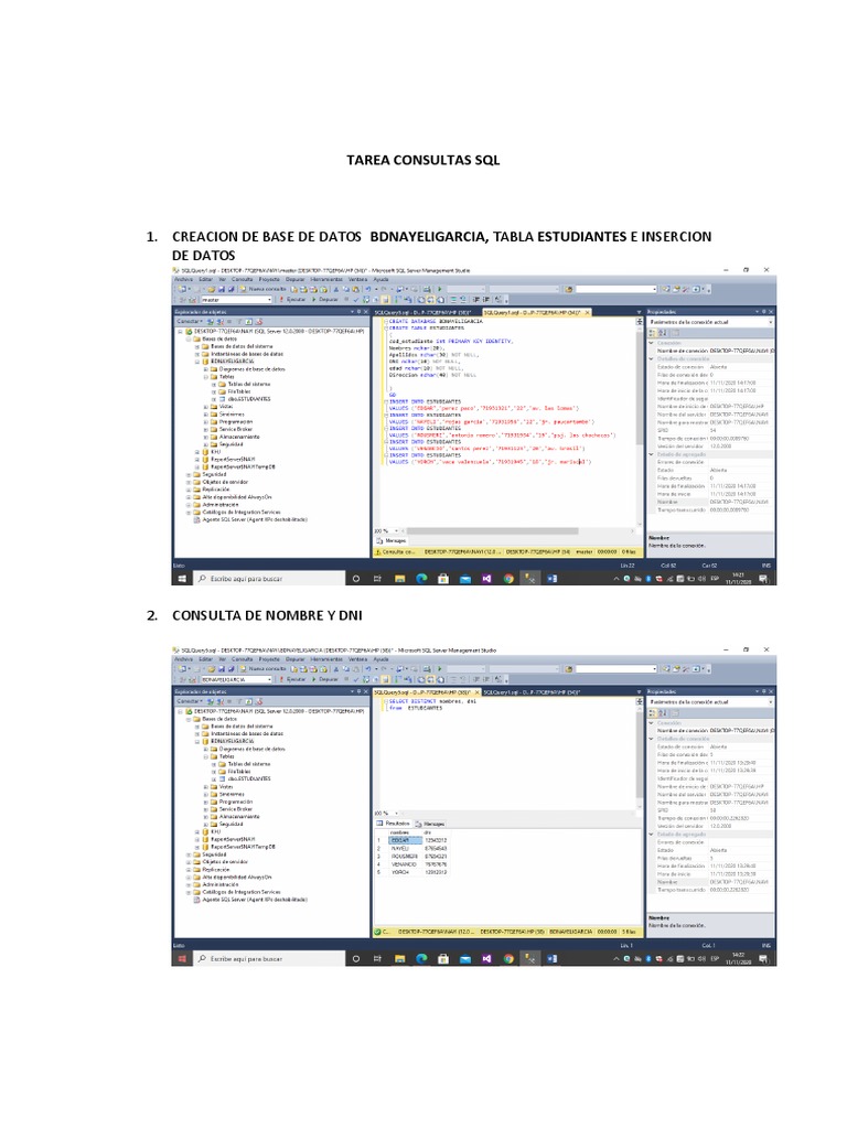 Tarea Consultas SQL | PDF