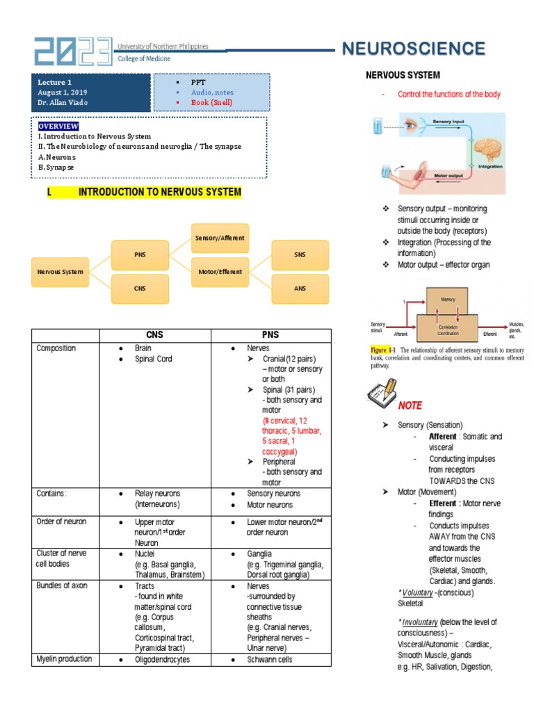 Neuroscience: I. Introduction To Nervous System | PDF | Motor Neuron | Axon