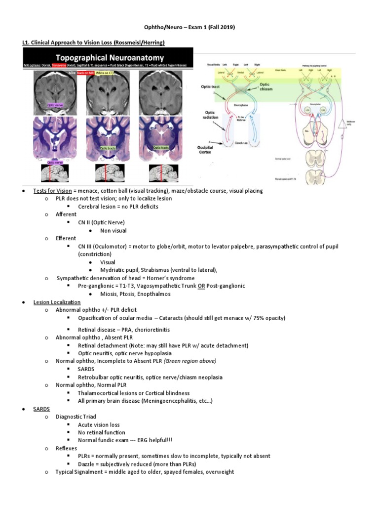 Ophtho - Neuro Exam 1 | PDF | Glaucoma | Cornea