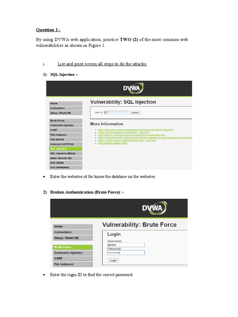 Web Vulnerabilities: SQL Injection & Brute Force | PDF | Business ...