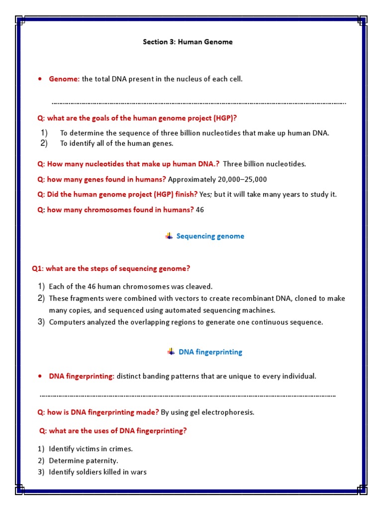 Human Genome | PDF | Open Reading Frame | Genetic Code