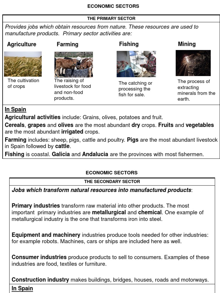 Secondary Sector Examples