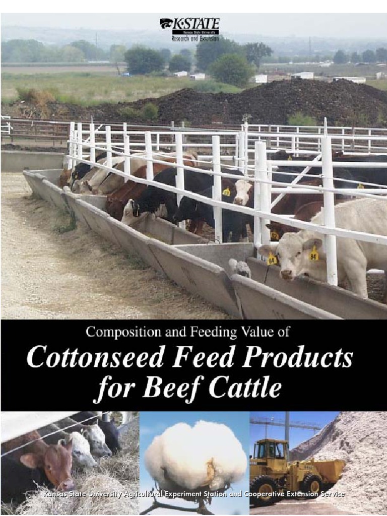 Composition and Feeding Value of Cottonseed Feed Products For Beef Cattle | PDF | Cottonseed ...