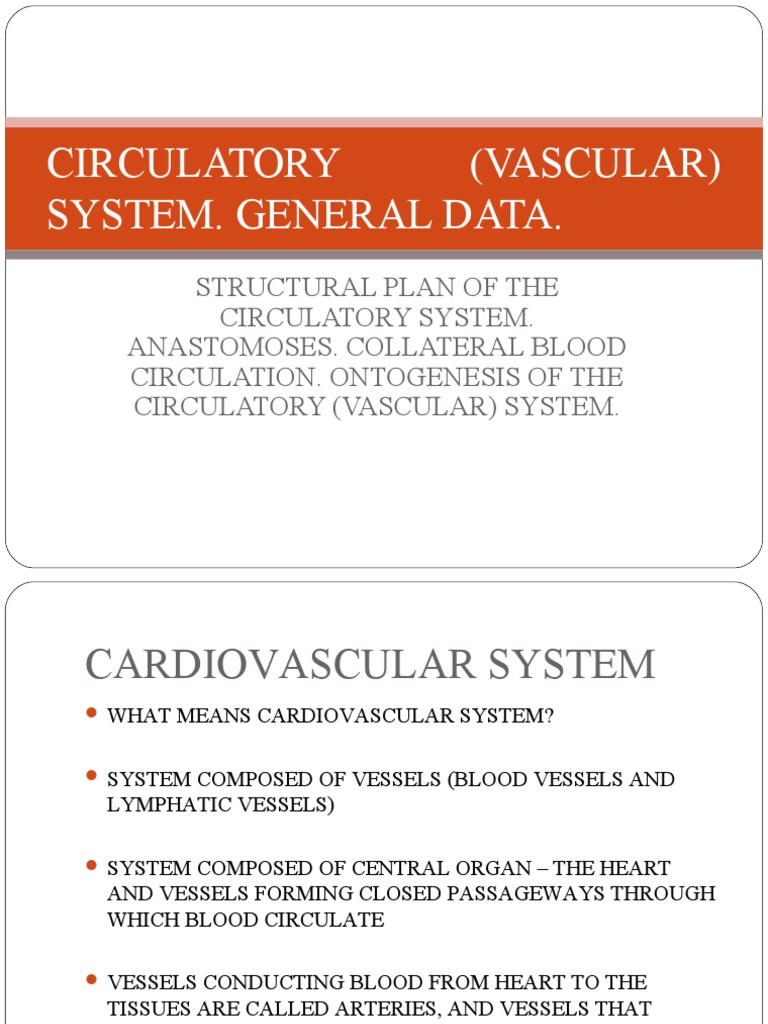 Circulatory (Vascular) System. Heart - Structure of Blood Vessels | PDF ...