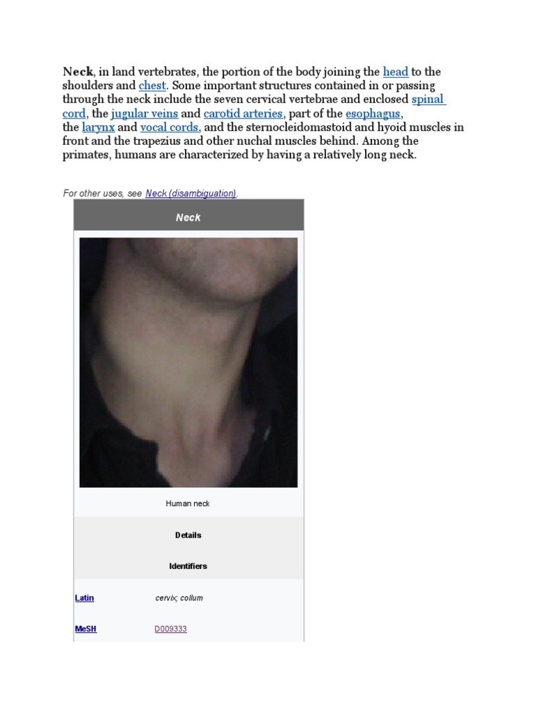 Neck, in Land Vertebrates, The Portion of The Body Joining The | PDF ...