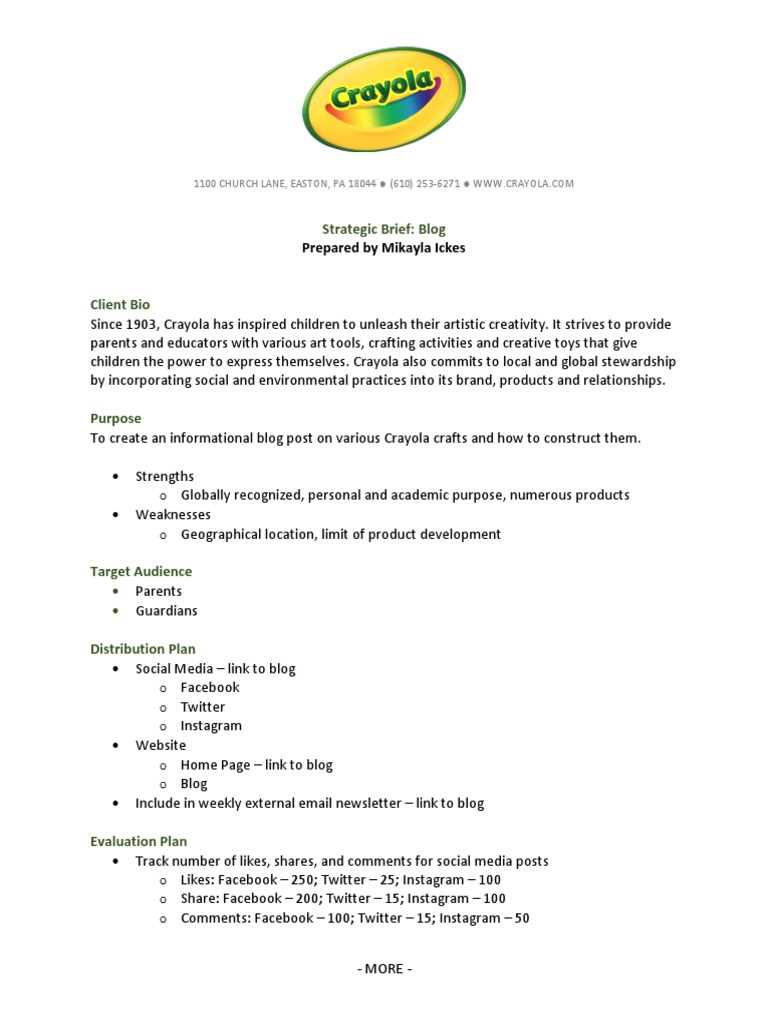 blog strategic brief final