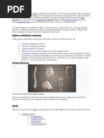 Human Skeleton All Bones Chart | PDF | Anatomy | Musculoskeletal System