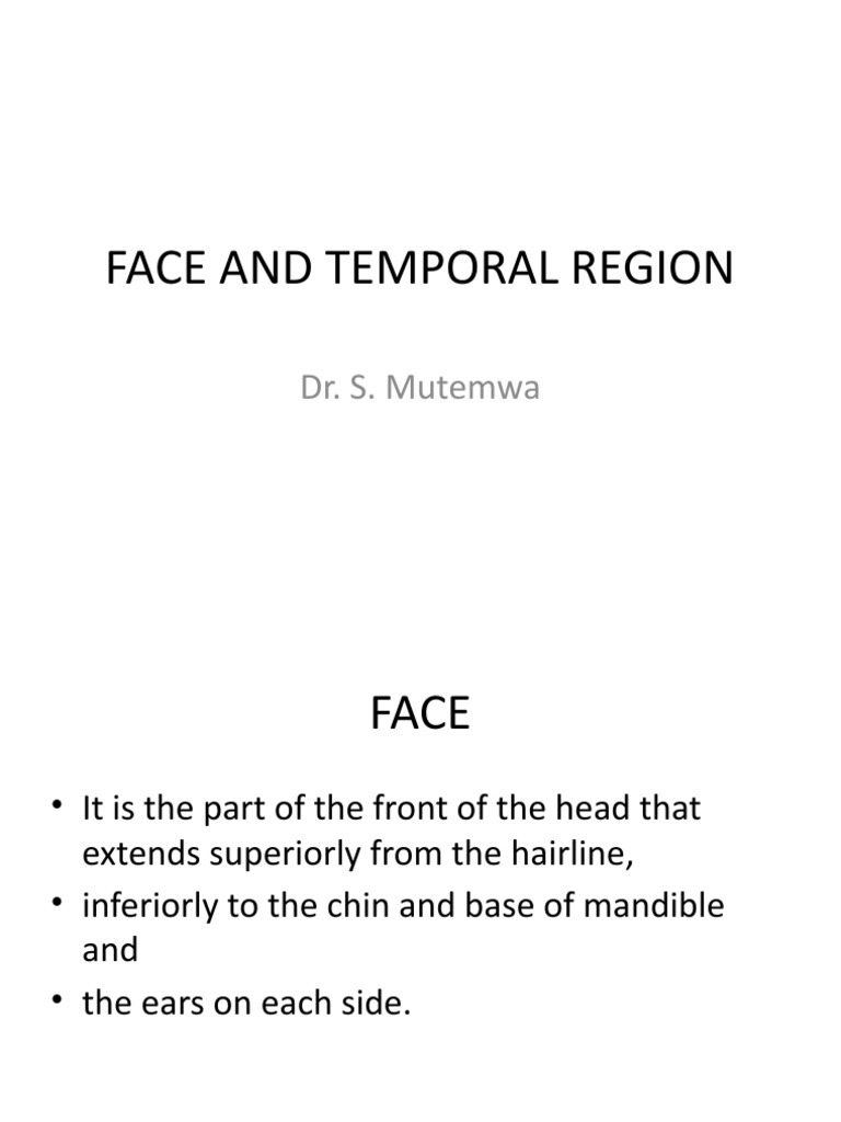 Face and Temporal Region | PDF | Human Nose | Human Head And Neck