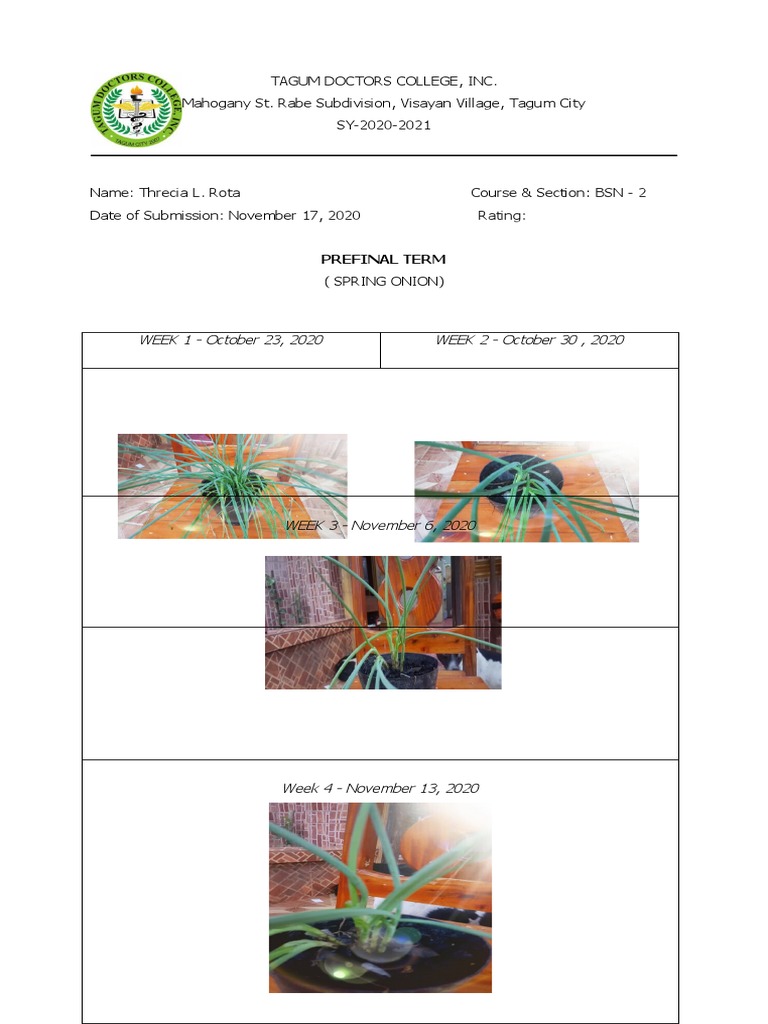 Planting (NSTP) | PDF