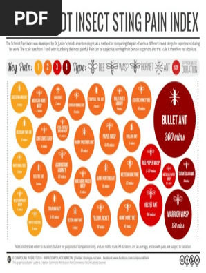 Bullet Ant Sting Pain Scale