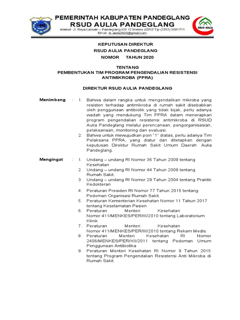 SK Tim Ppra Aulia | PDF