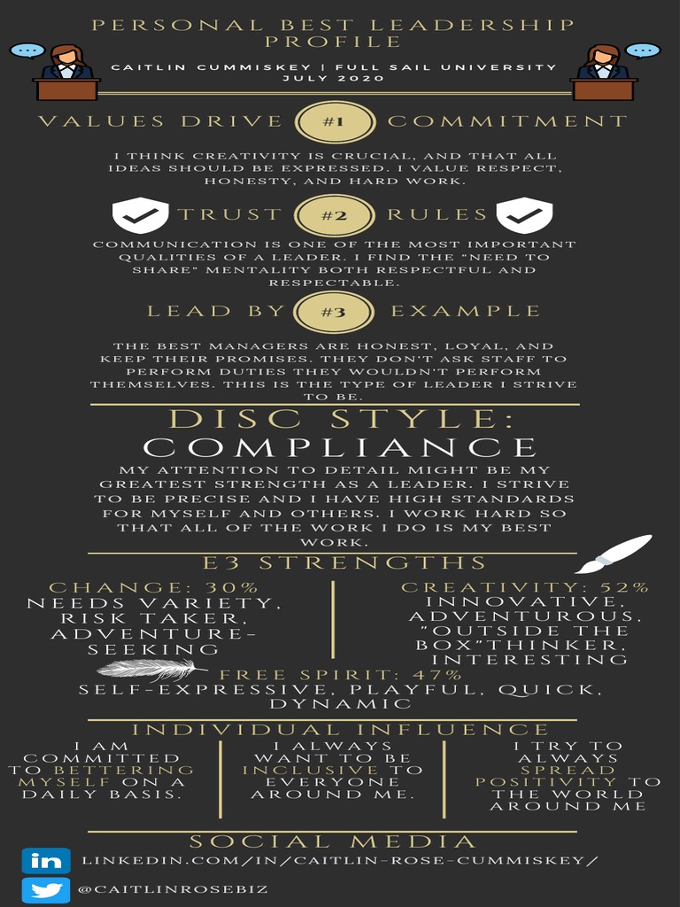 Personal Leadership Profile | PDF