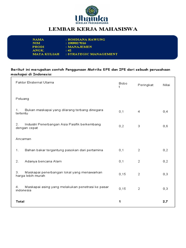 Contoh Matrix Model EFE & IFE | PDF