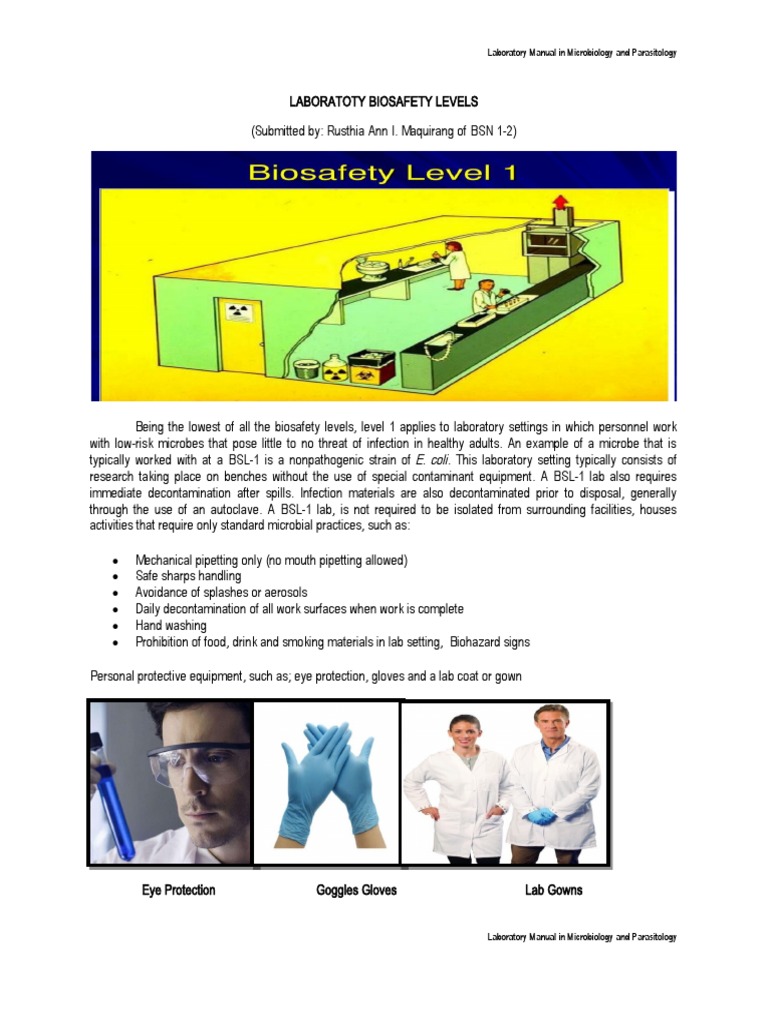 Biosafety Levels in Microbiology Labs | PDF | Laboratories | Biology