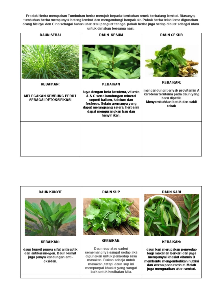 Produk Herba Merupakan Tumbuhan Herba Merujuk Kepada Tumbuhan Renek ...