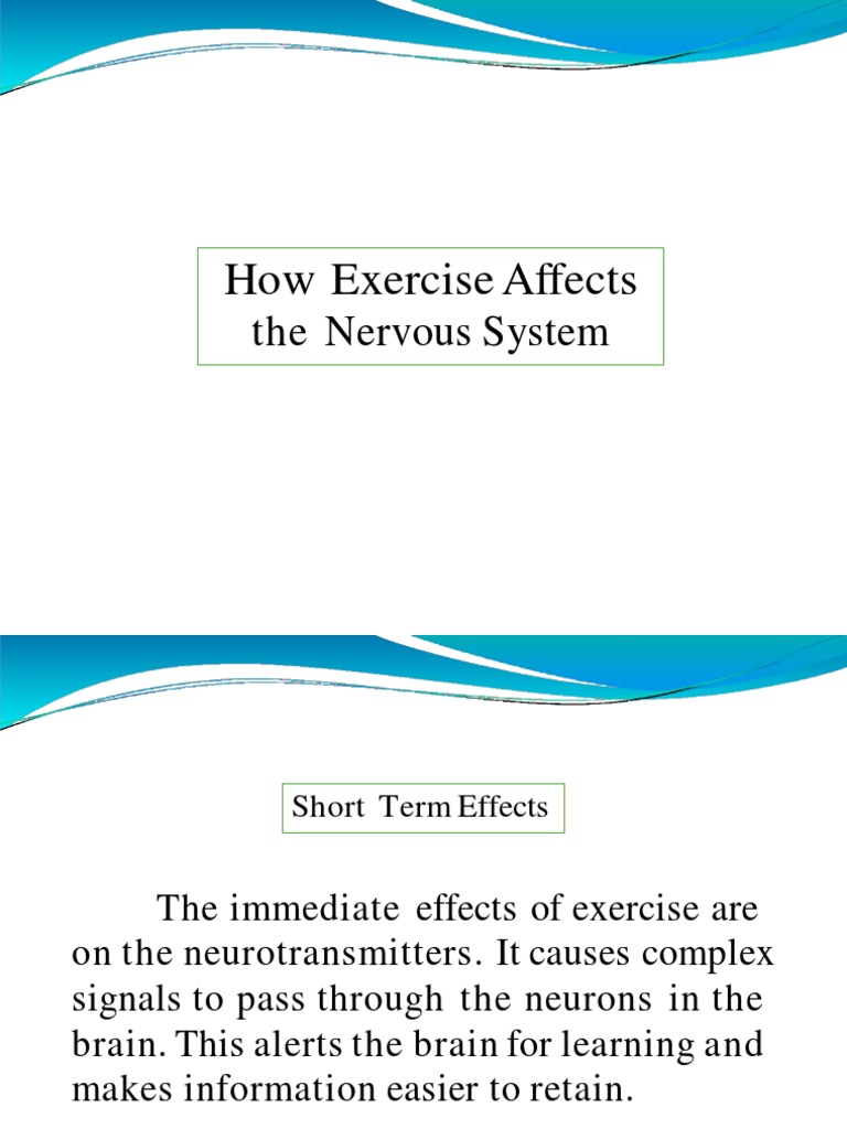 Effects of Exercises On NERVOUS Systems | PDF