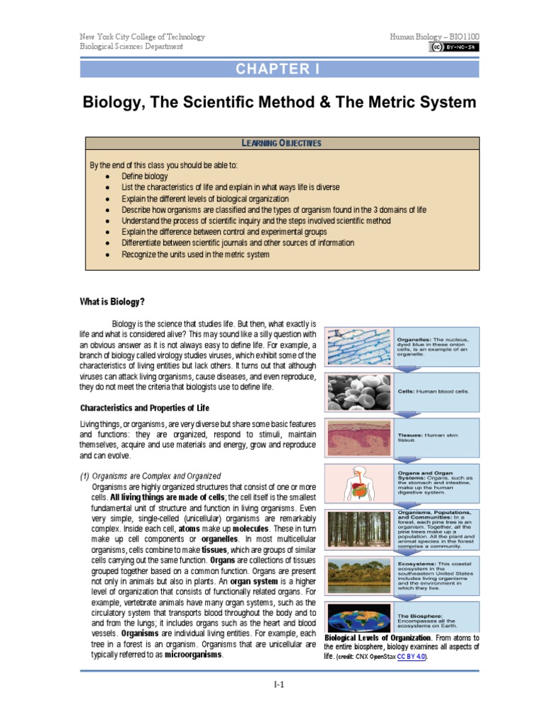 Biology, The Scientific Method & The Metric System | PDF | Theory | Science