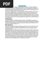 Read Online: Vemag Robot 500 Operating Manual | PDF | Robot | Robotics