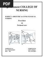 CHECKLIST FOR PERINEAL CARE | PDF