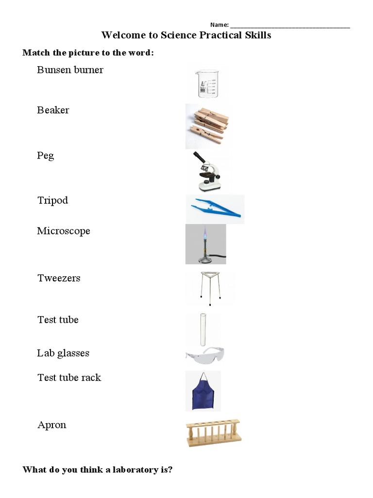 Pre and Post Assessment | PDF