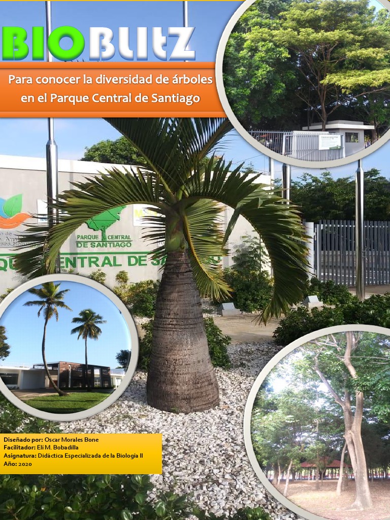 Bioblitz OscarM20170319 T PDF | PDF | Organismos | Science