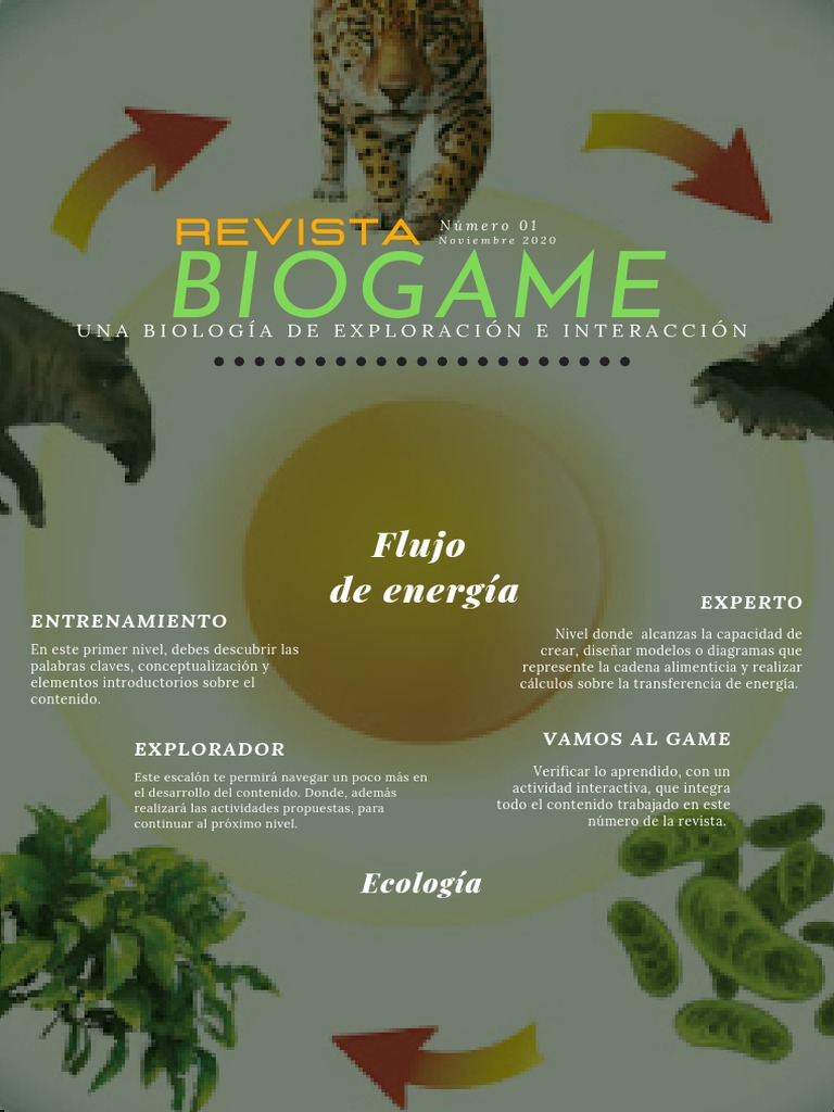 Revista BIOGAME - Flujo de Energía - StephanieRosannaOscar | PDF ...