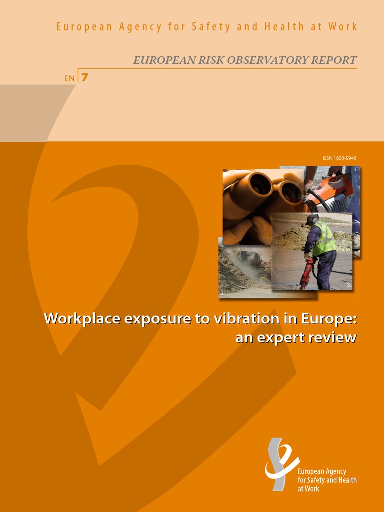 Vibration Exposure en PDF | PDF | Occupational Safety And Health | Risk