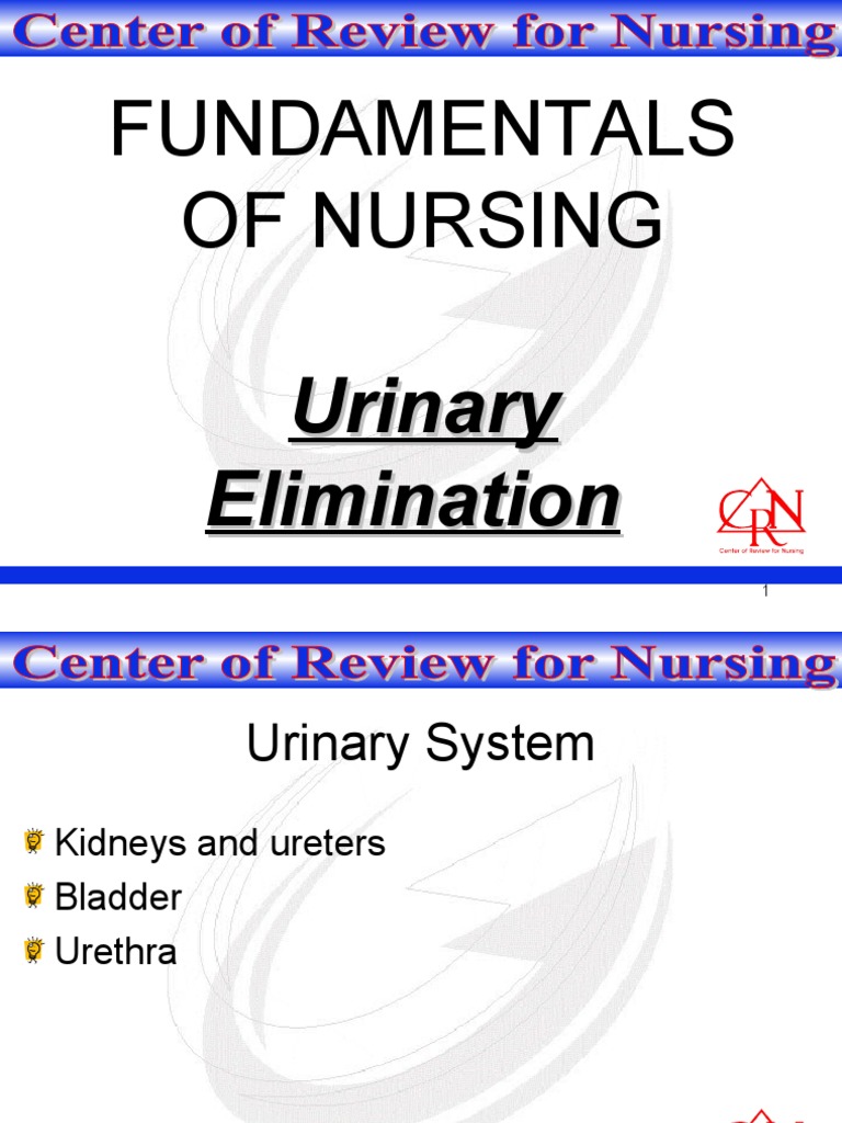 Fundamentals of Nursing: Urinary Elimination | PDF | Urinary ...