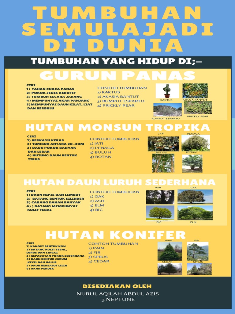 Educate Kids Charity Infographic | PDF