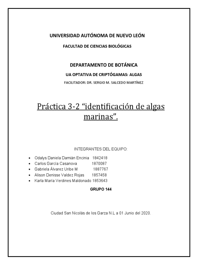 Práctica 3-2 Algas Id Marinas - Gpo144 | PDF | Plantas | Organismos