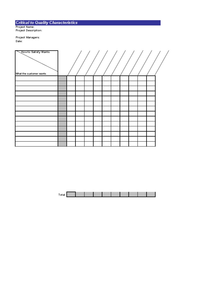 Critical To Quality Characteristics: Project Name: Project Description ...
