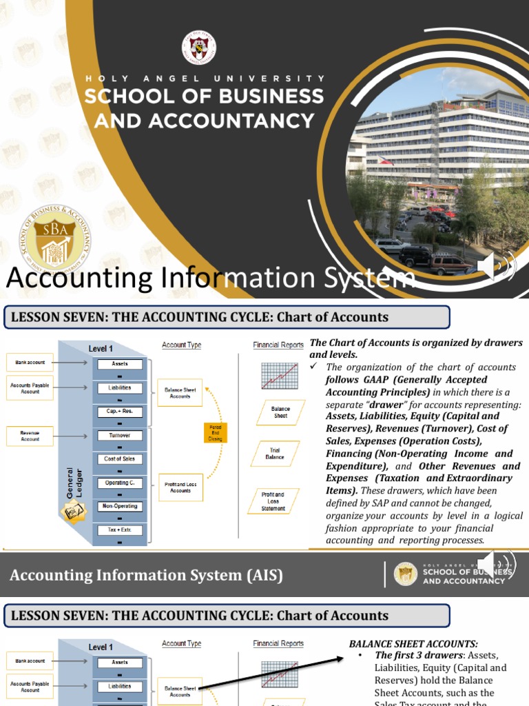 Accounting Cycle: Chart of Accounts Overview | PDF | Expense | Revenue
