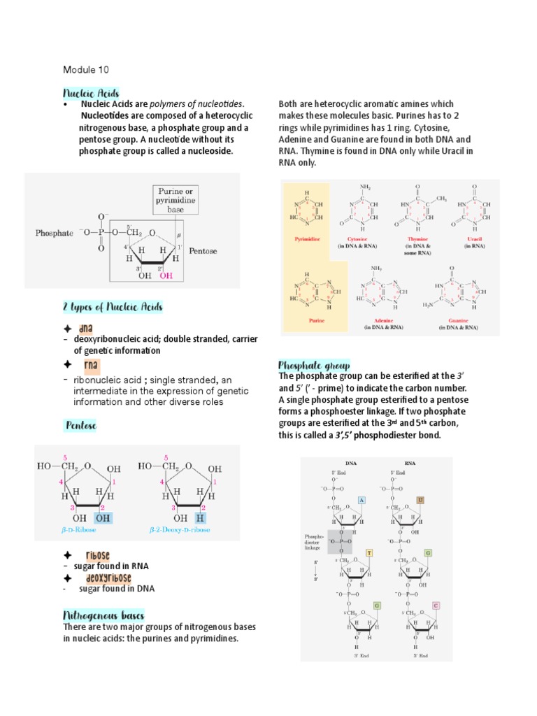 Biochem Mod 10 PDF | PDF