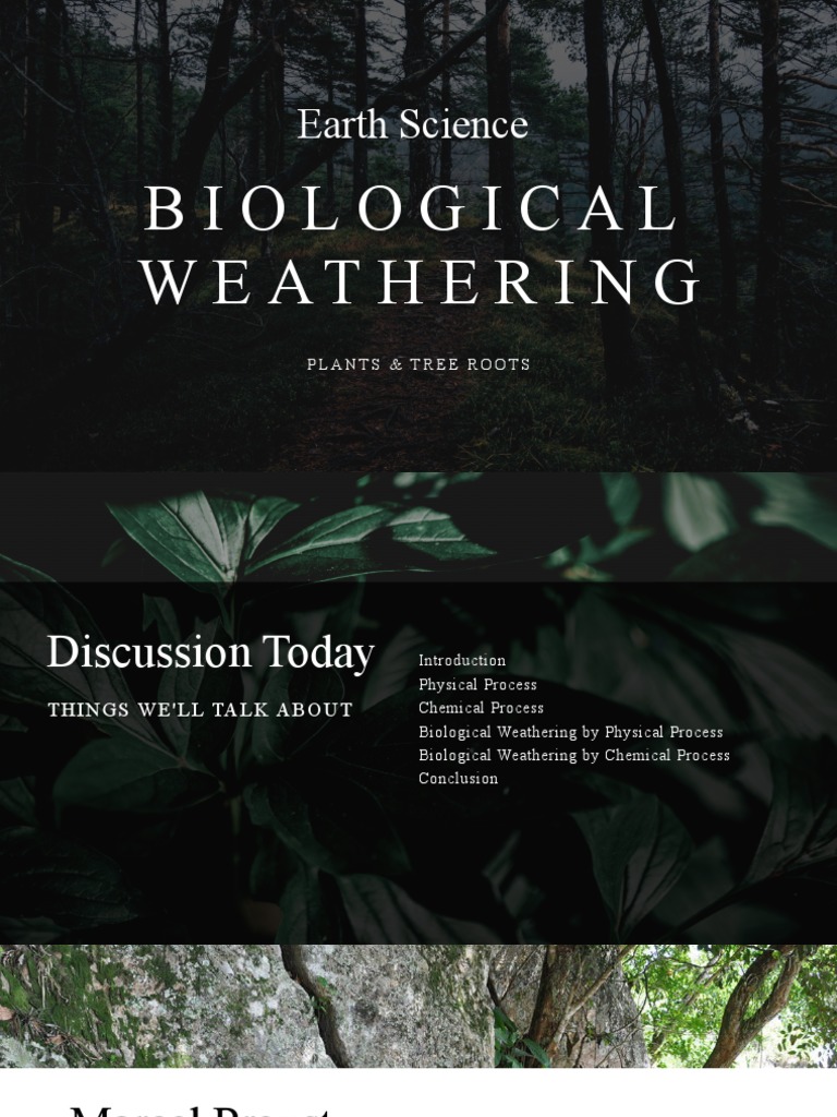 Biological Weathering Explained | PDF | Weathering | Nature