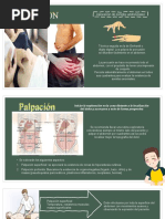 Maniobras Hepáticas y Vesiculares | PDF | Vesícula biliar | Mano