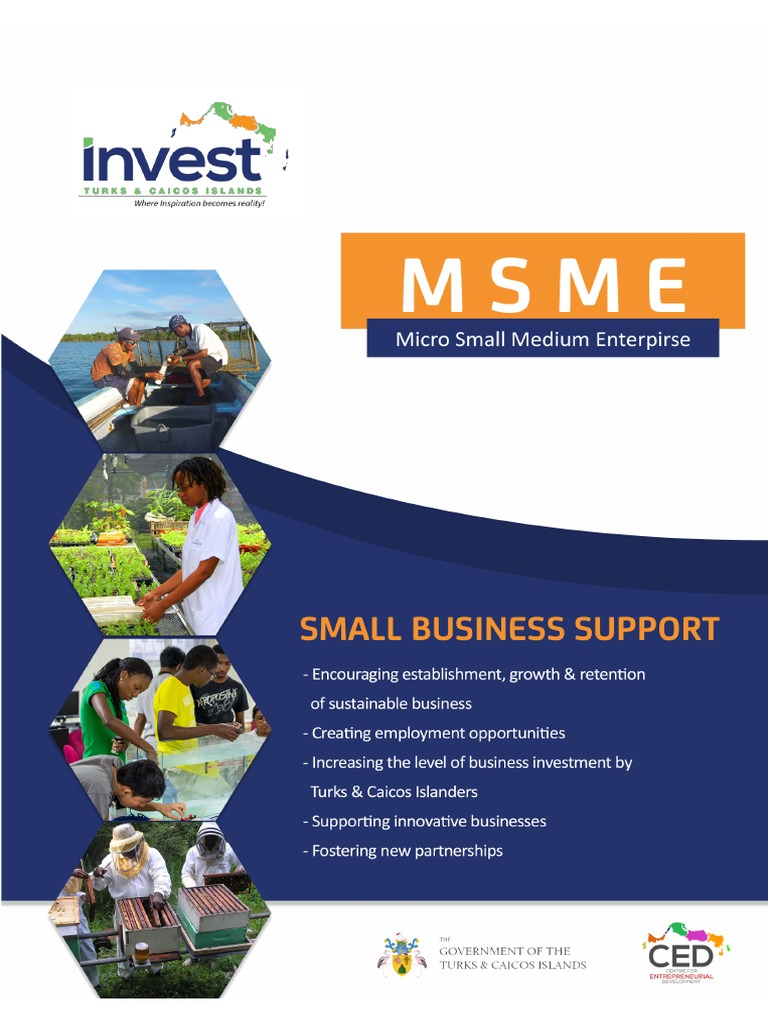 MSME Brochure | PDF | Revenue | Economies