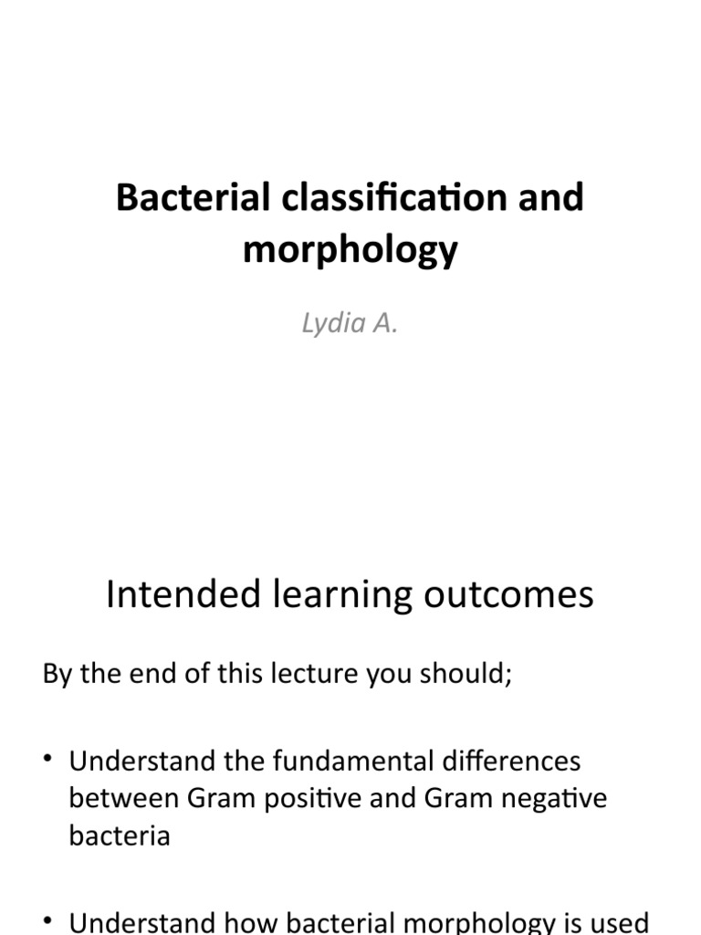 Bacterial Classification And Morphology Pdf Gram Positive Bacteria