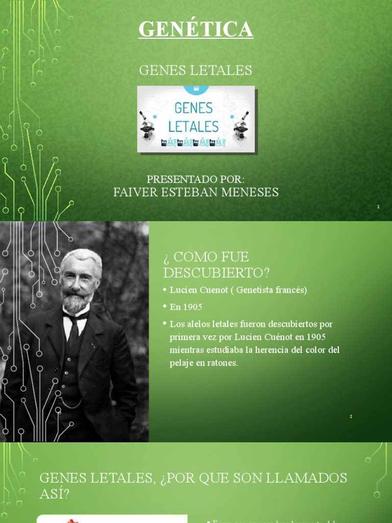 Genes Letales: Impacto y Ejemplos | PDF | Ciencias de la vida | Biología