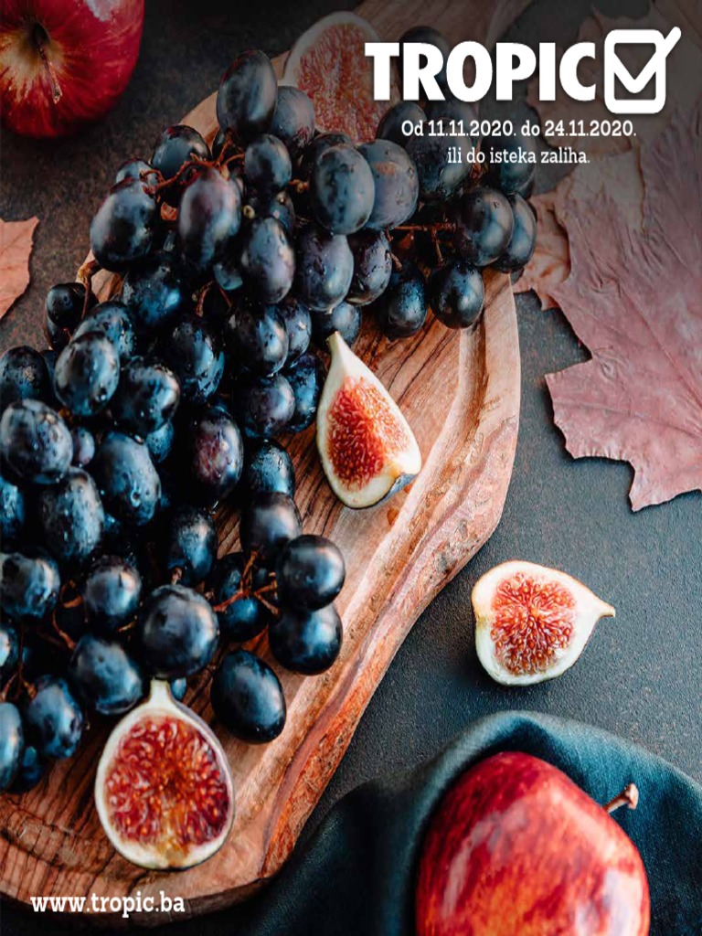 Tropic Katalog 4 PDF | PDF