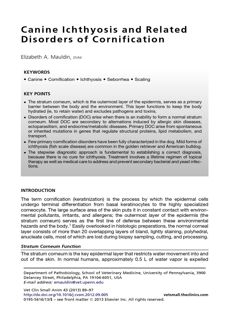 Canine Ichthyosis and Related Disorders of Cornification | PDF | Skin ...