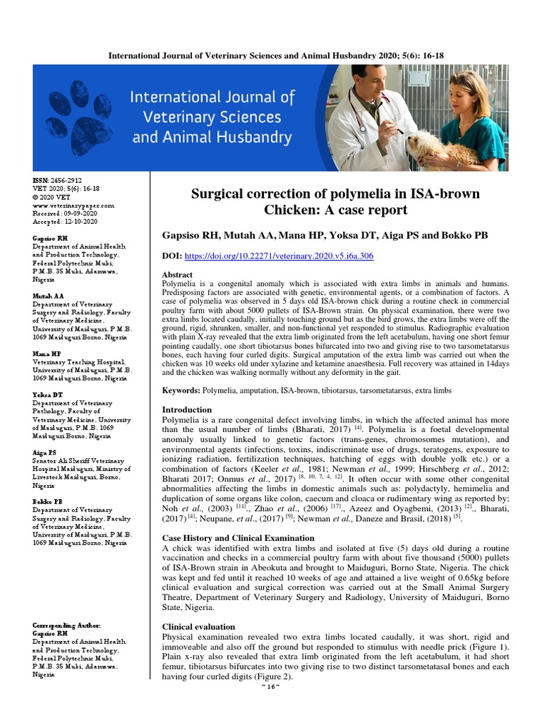 Surgical Correction of Polymelia in ISA-Brown Chicken. A Case Report ...