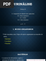 Atlas Urinalise Completo | PDF