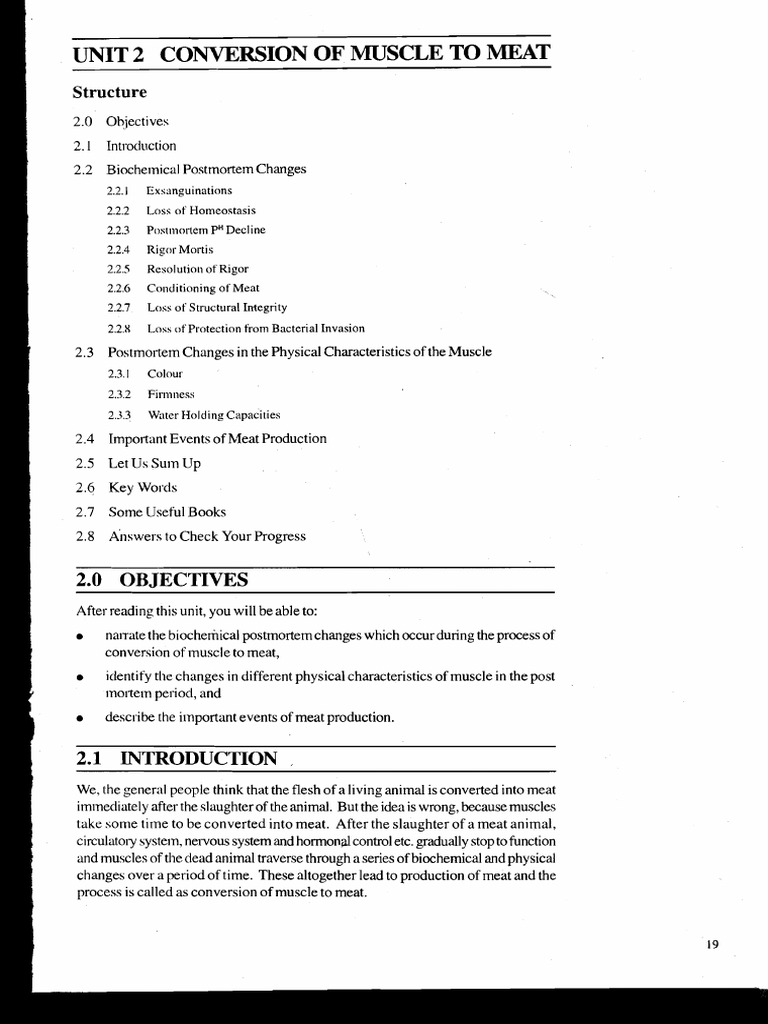 Unit 2 Conversion of Muscle To Meat: Structure | PDF | Meat | Homeostasis