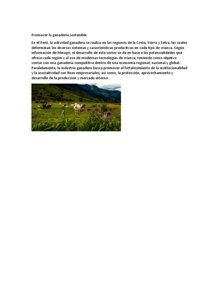 Acciones | PDF