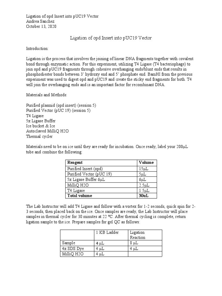 Ligation of Opd Insert Into pUC19 Vector: Reagent | PDF | Dna Ligase ...