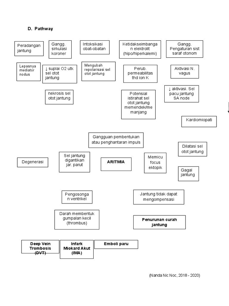 WOC Aritmia Yang Baru | PDF
