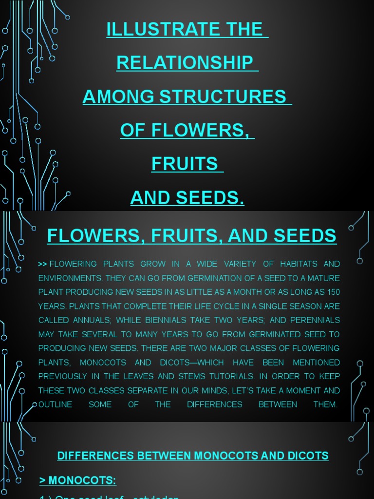 Structures of Flowers, Fruits, and Seeds | PDF | Fruit | Plant Morphology